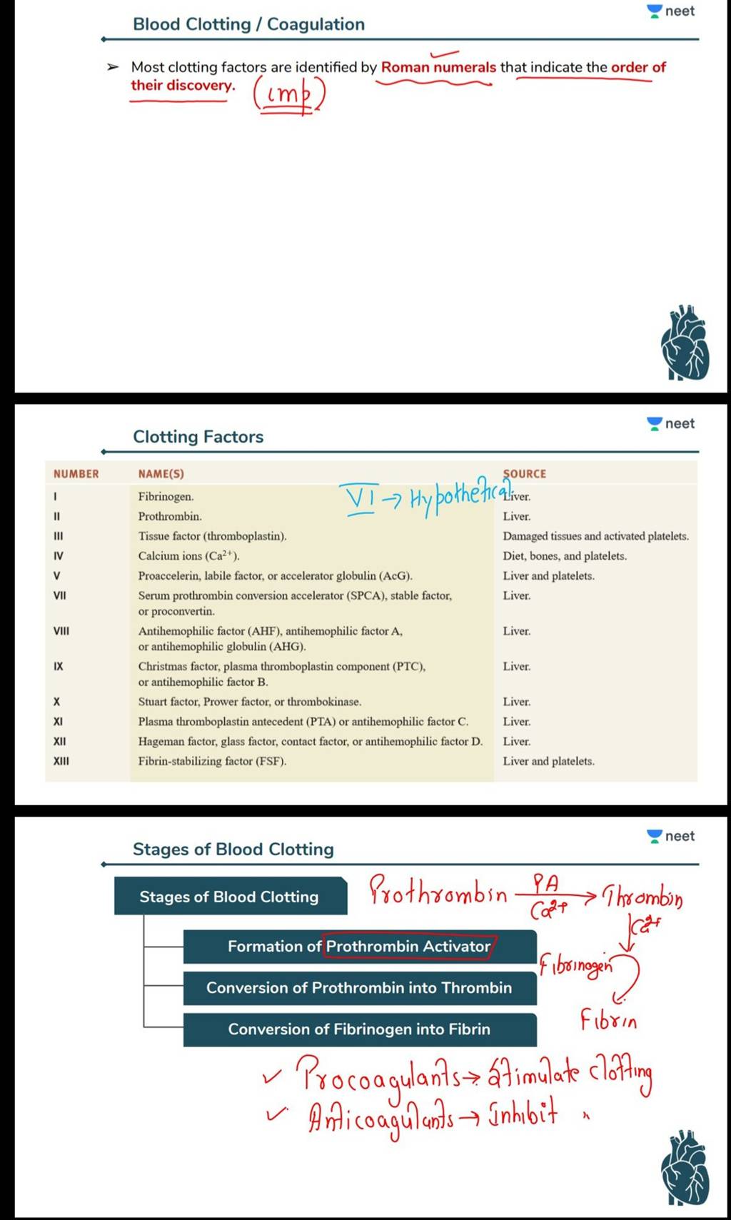 Blood Clotting / Coagulation neet > Most clotting factors are identified