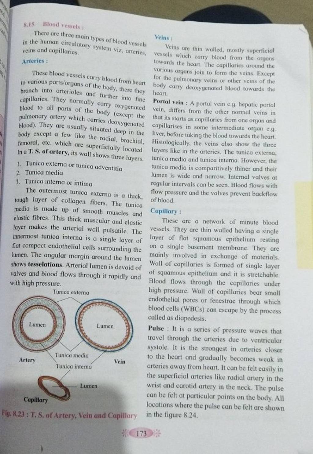 There are three main types of blood vessels Veins : in the human circulat..