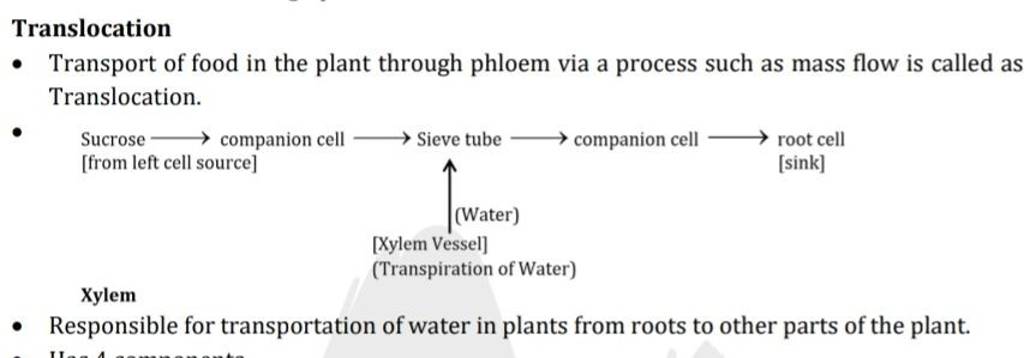 Translocation - Transport of food in the plant through phloem via a proce..