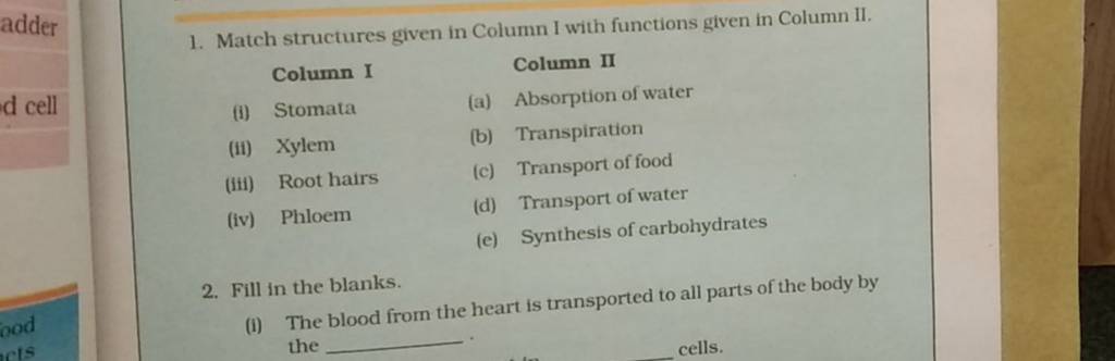 1 Match Structures Given In Column I With Functions Given In Column Ii