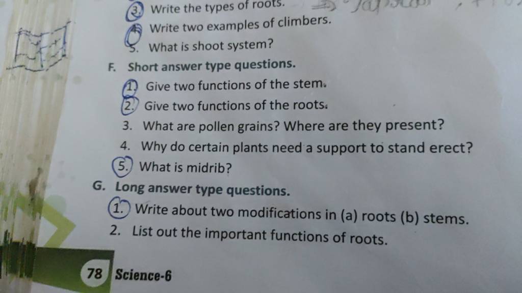 (3.) Write the types of roots. 4. Write two examples of climbers. 5. What..
