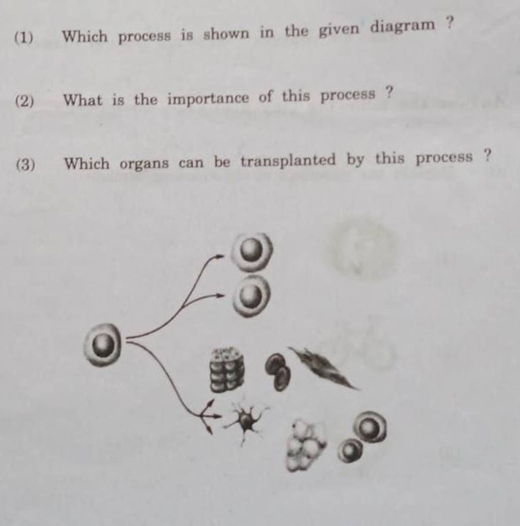 (1) Which process is shown in the given diagram ? (2) What is the importa..