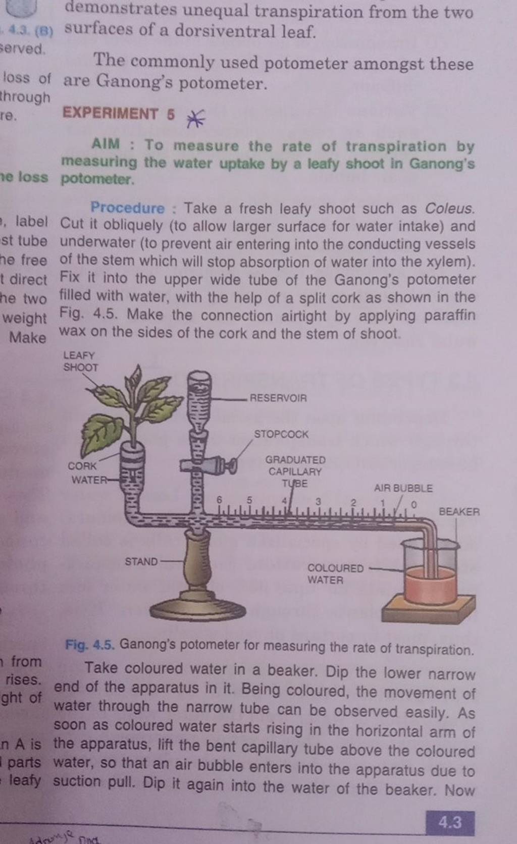 4.3. (B) surfaces of a dorsiventral leaf. The commonly used potometer amo..