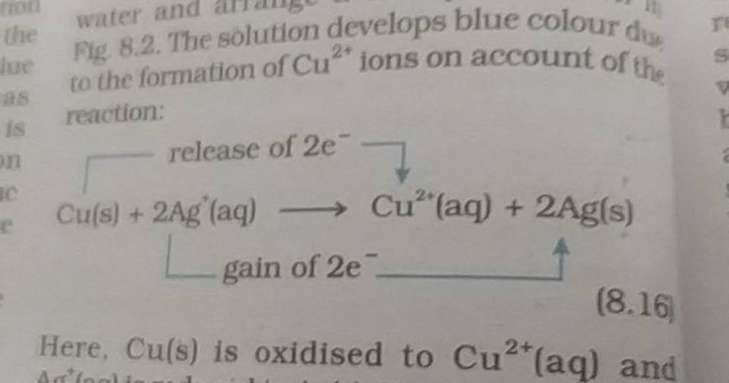 Fig 8.2. The solution develops blue colour dubs to the formation of Cu2+