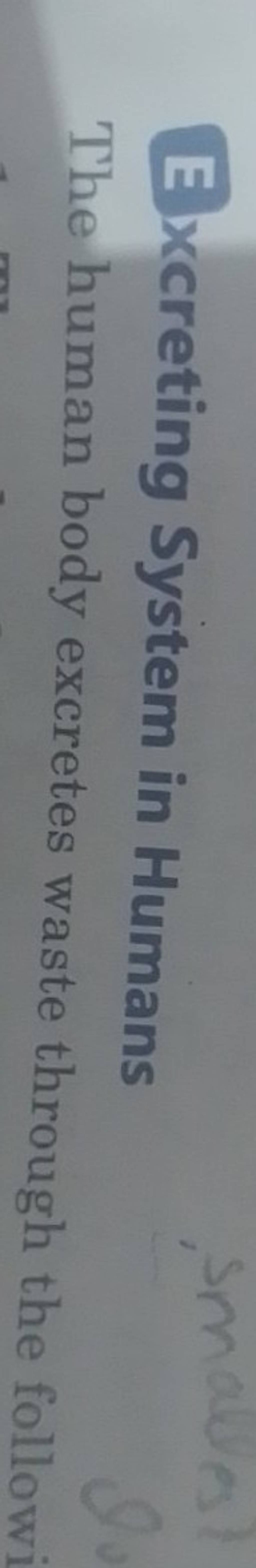 Excreting System in Humans The human body excretes waste through the foll..