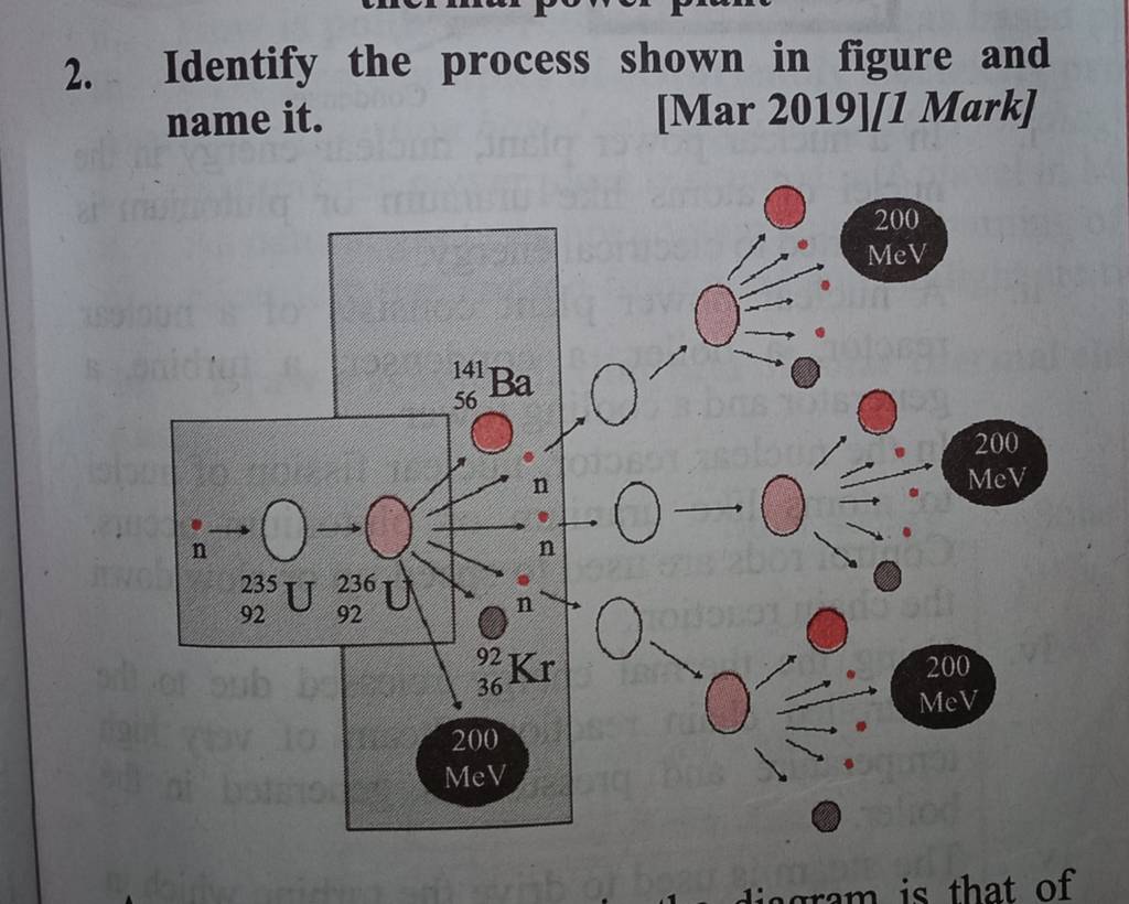 2. Identify the process shown in figure and name it. [Mar 2019][1 Mark]