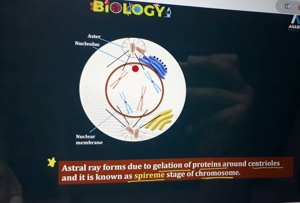 Astral ray forms due to gelation of proteins around centrioles and it is