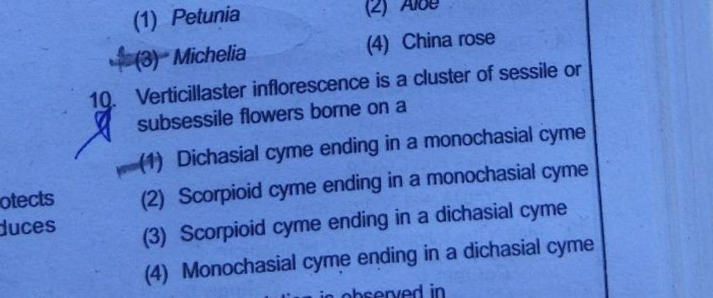 Verticillaster inflorescence is a cluster of sessile or subsessile flower..