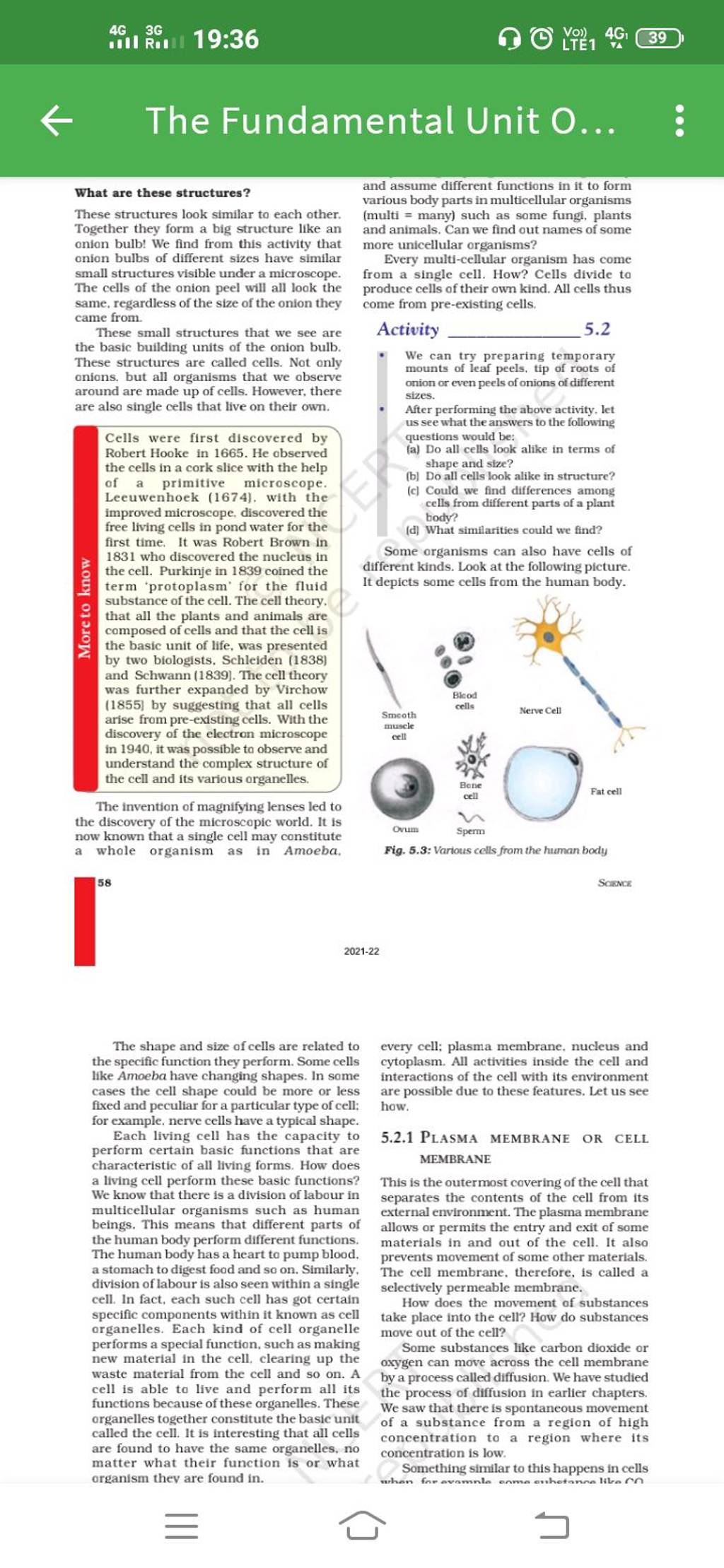 The Fundamental Unit O... What are these structures? and assume different..