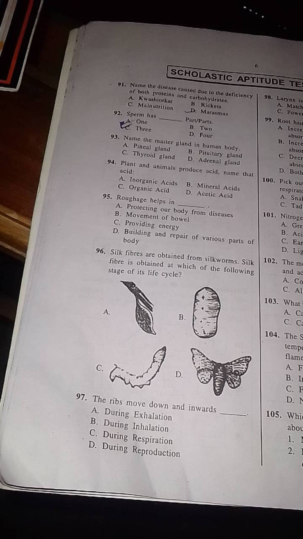 Name the master gland in human body. A. Pineal gland C. Thyroid gland..