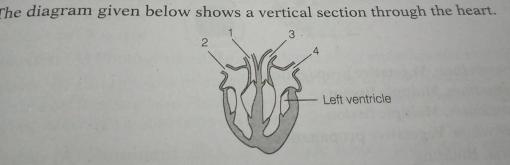 The diagram given below shows a vertical section through the heart.