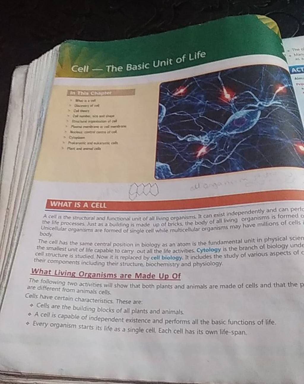 Cell - The Basic Unit of Life WHAT IS A CELL A cell is the structural and..