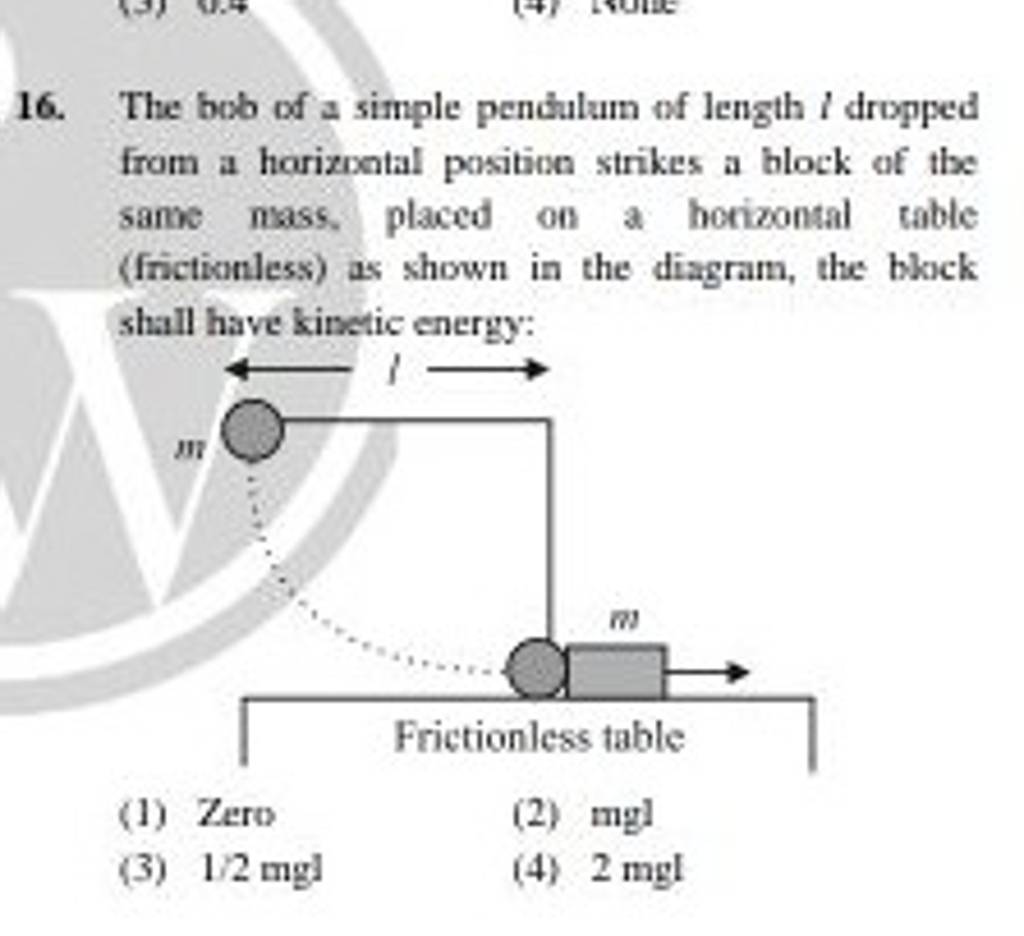 The bob of a simple pendulum of length l dropped from a horizonal positio..