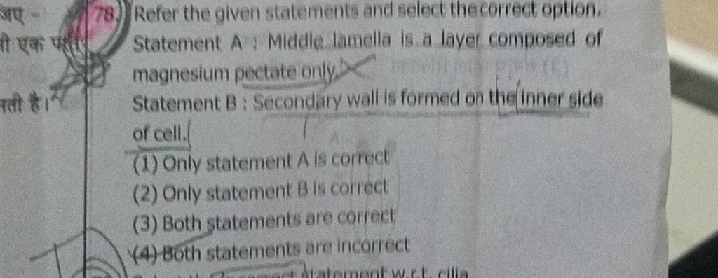 Refer The Given Statements And Select The Correct Option Statement A