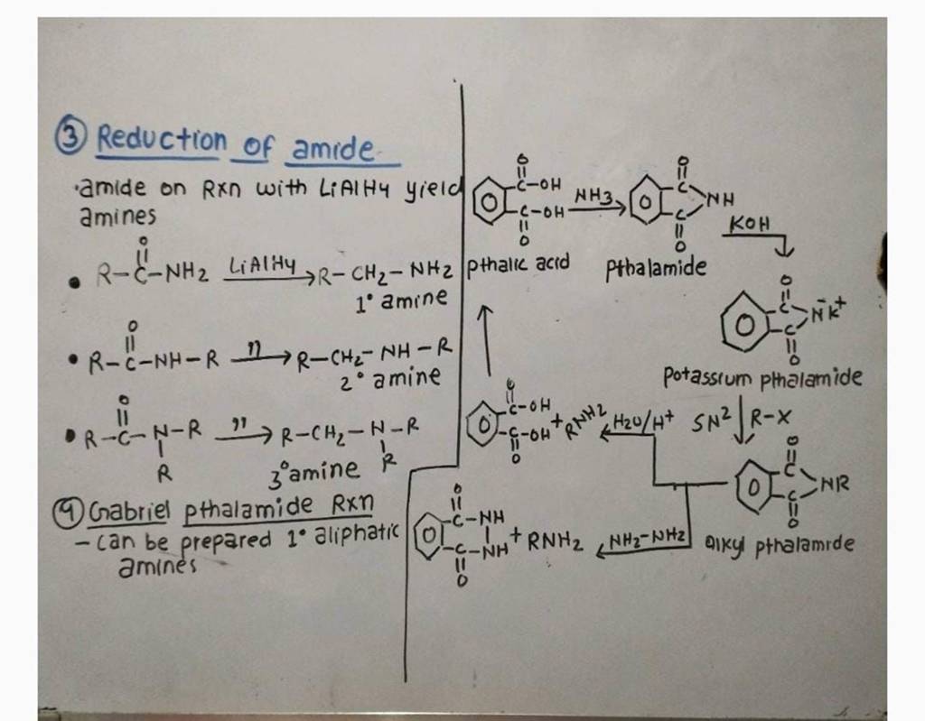 (3) Reduction of amide amide on Rxn with LiAlH4 yield amines | Filo