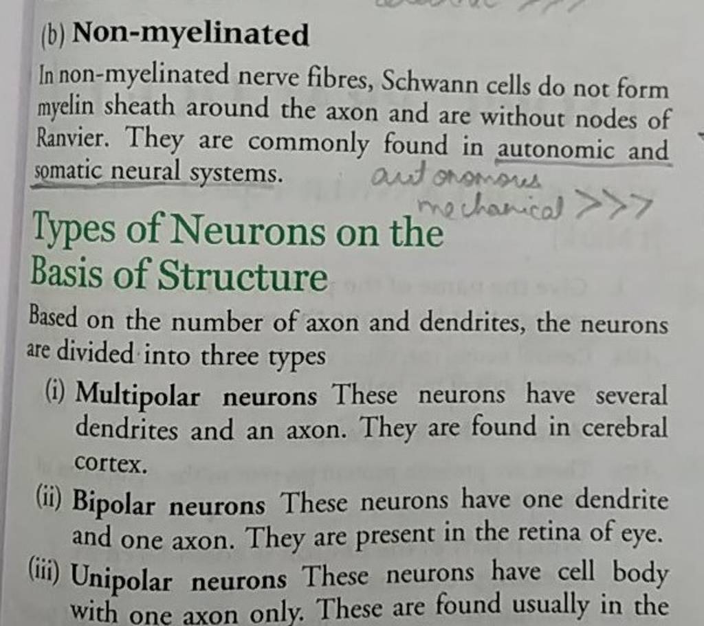(b) Non-myelinated In non-myelinated nerve fibres, Schwann cells do not f..