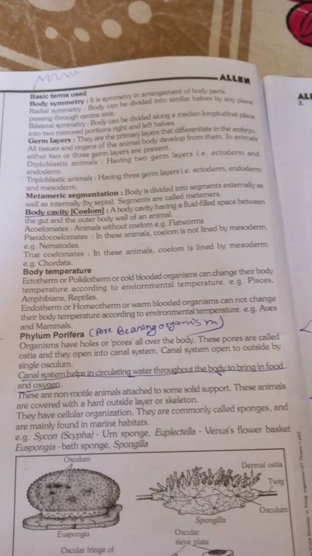 Body symmetry : it is symmetry in arrangement of body parts. Radial symme..