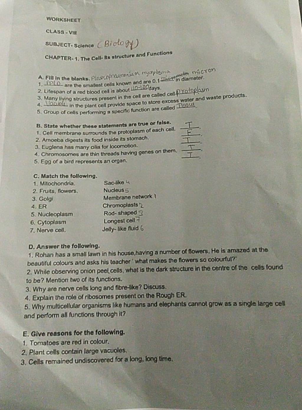 WORKSHEET CLASS - VIII SUBJECT-Science (Bictogy) CHAPTER-1. The Cell- its.. WORKSHEET CLASS - VIII SUBJECT-Science (Bictogy) CHAPTER-1. The Cell- its..