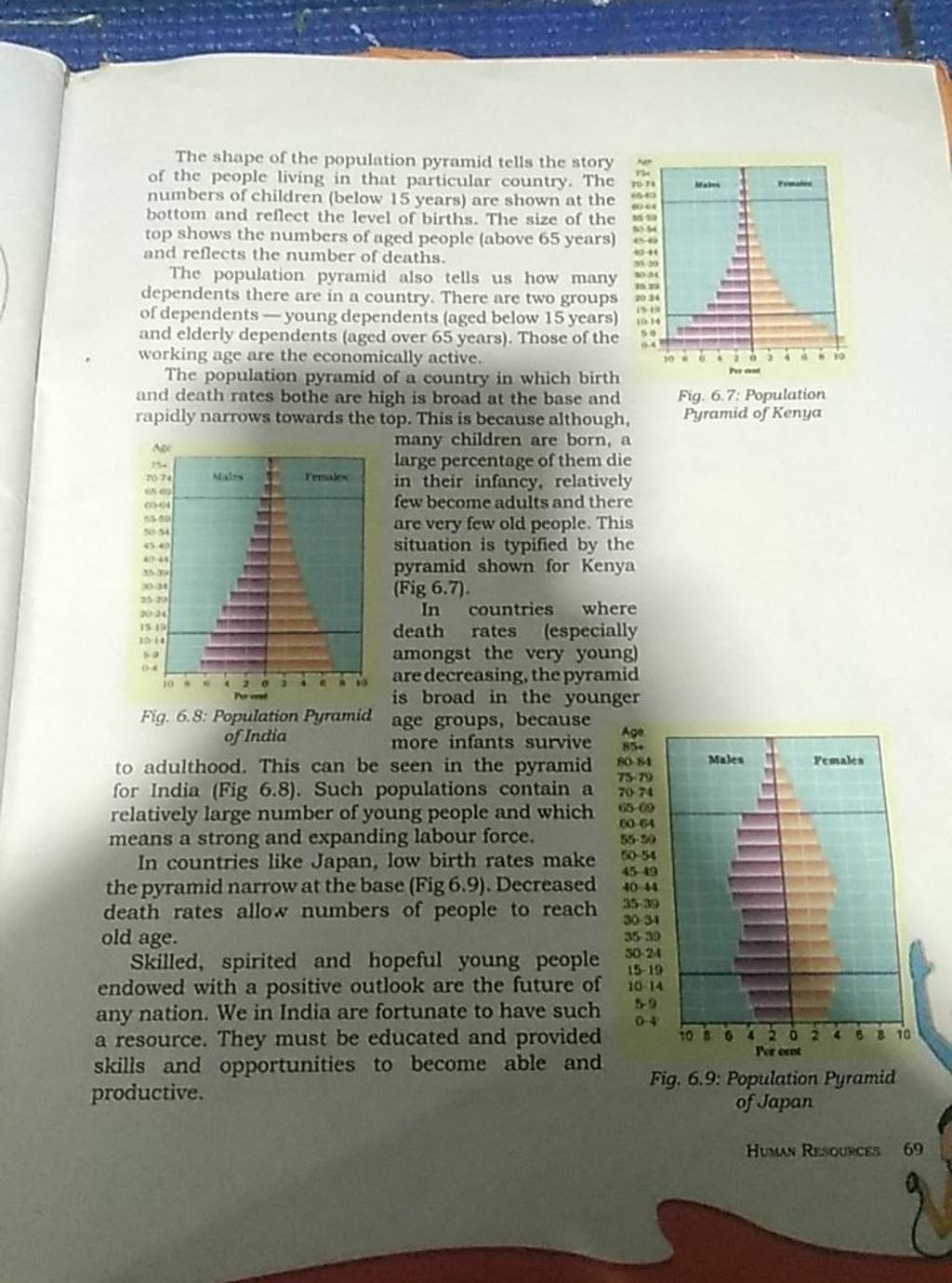 The shape of the population pyramid tells the story of the people living