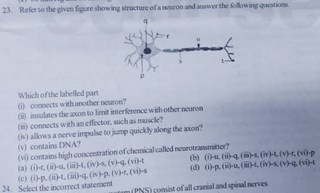 Refer to the given figure showing structure of a neuron and answer the fo..