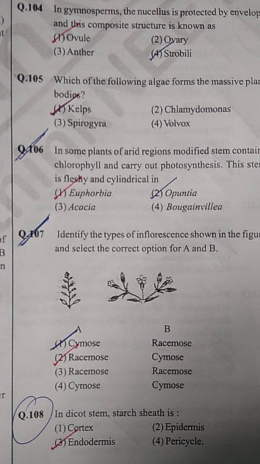 Q.07 Identify the types of inflorescence shown in the figut and select th..