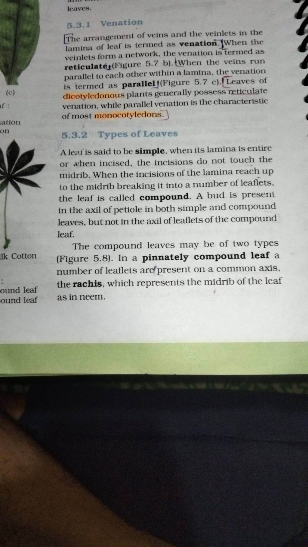 The arrangement of veins and the veinlets in the lamina of leaf is termed..