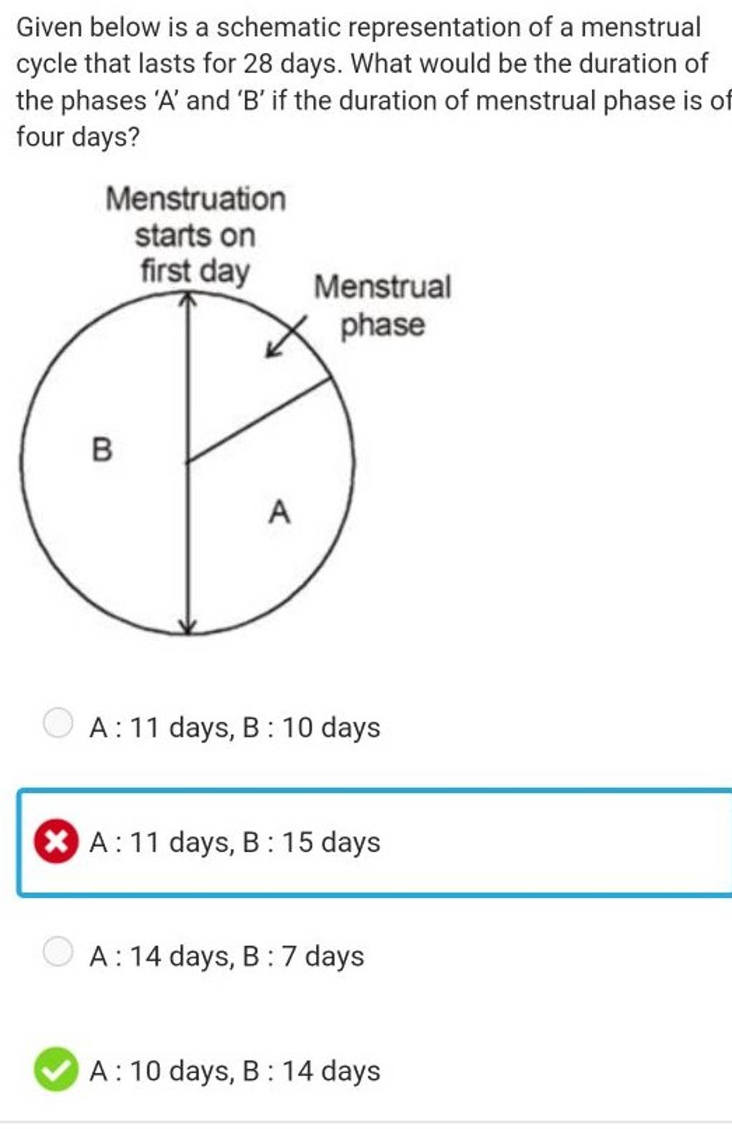 Given below is a schematic representation of a menstrual cycle that lasts..
