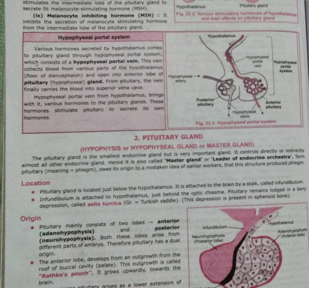 Stimulates The Intermediate Lobe Of The Pituitary Gland To Secrete Its Me