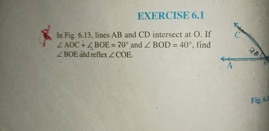 EXERCISE 6.1 In Fig. 6.13, lines AB and CD intersect at O. If ∠AOC+∠BOE=7..