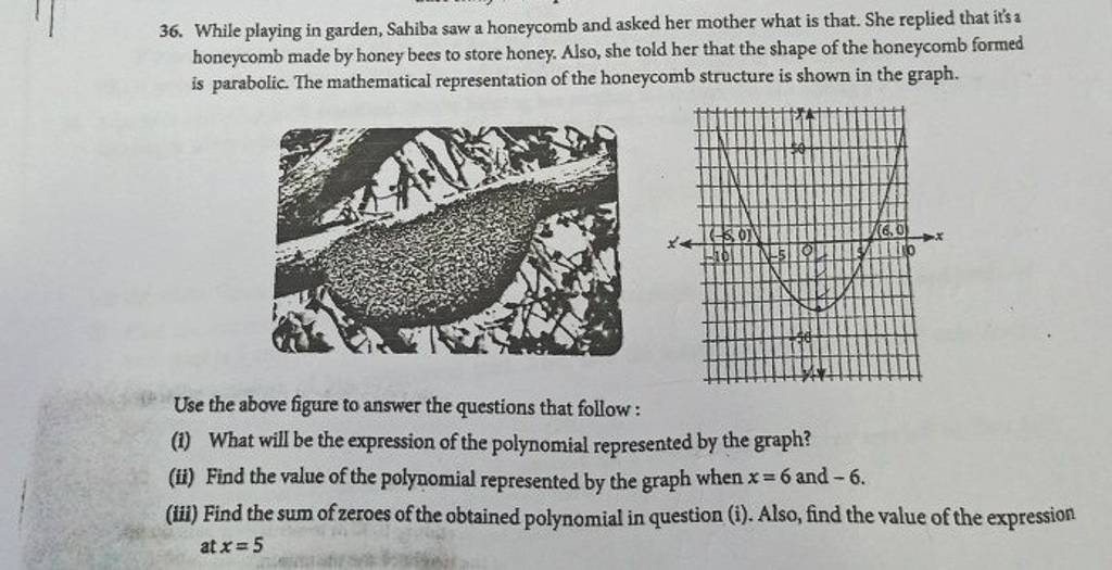 36. While playing in garden, Sahiba saw a honeycomb and asked her mother