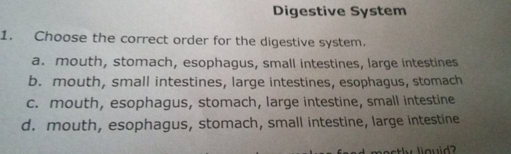 Digestive System 1. Choose the correct order for the digestive system...