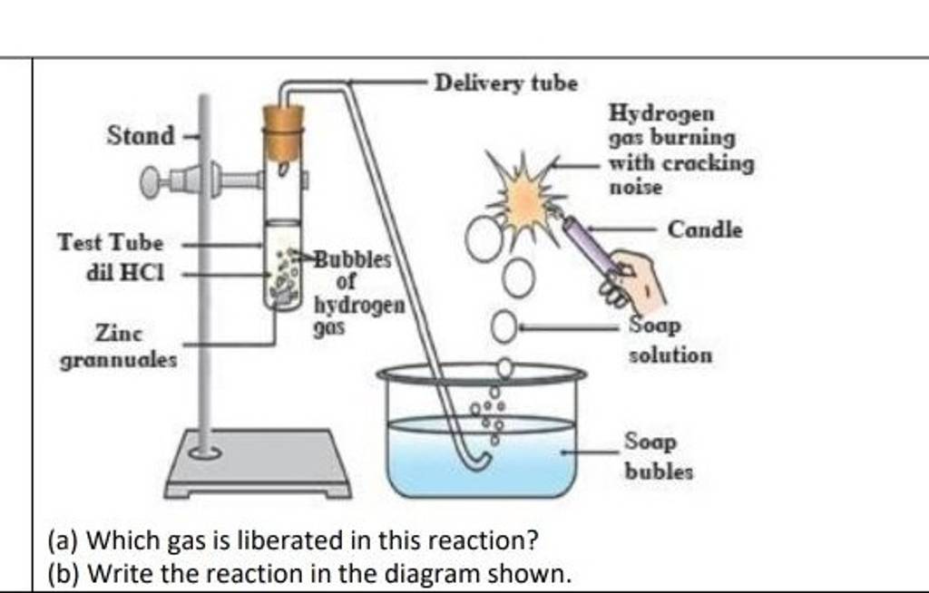 (a) Which gas is liberated in this reaction? (b) Write the reaction in th..