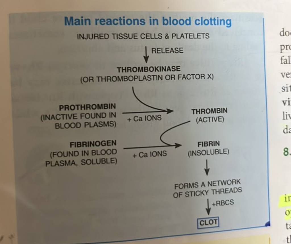 Main reactions in blood clotting INJURED TISSUE CELLS \& PLATELETS ↓ RELE..