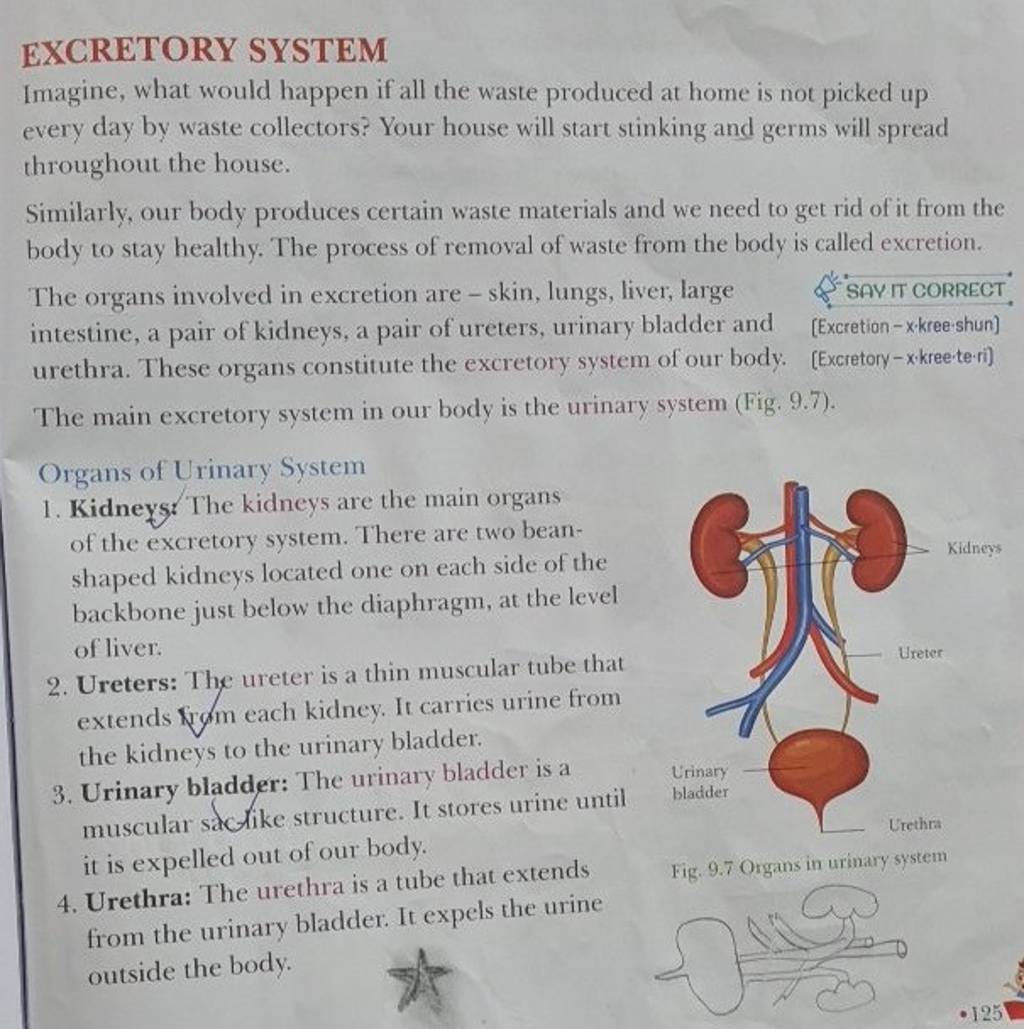 EXCRETORY SYSTEM Imagine, what would happen if all the waste produced at