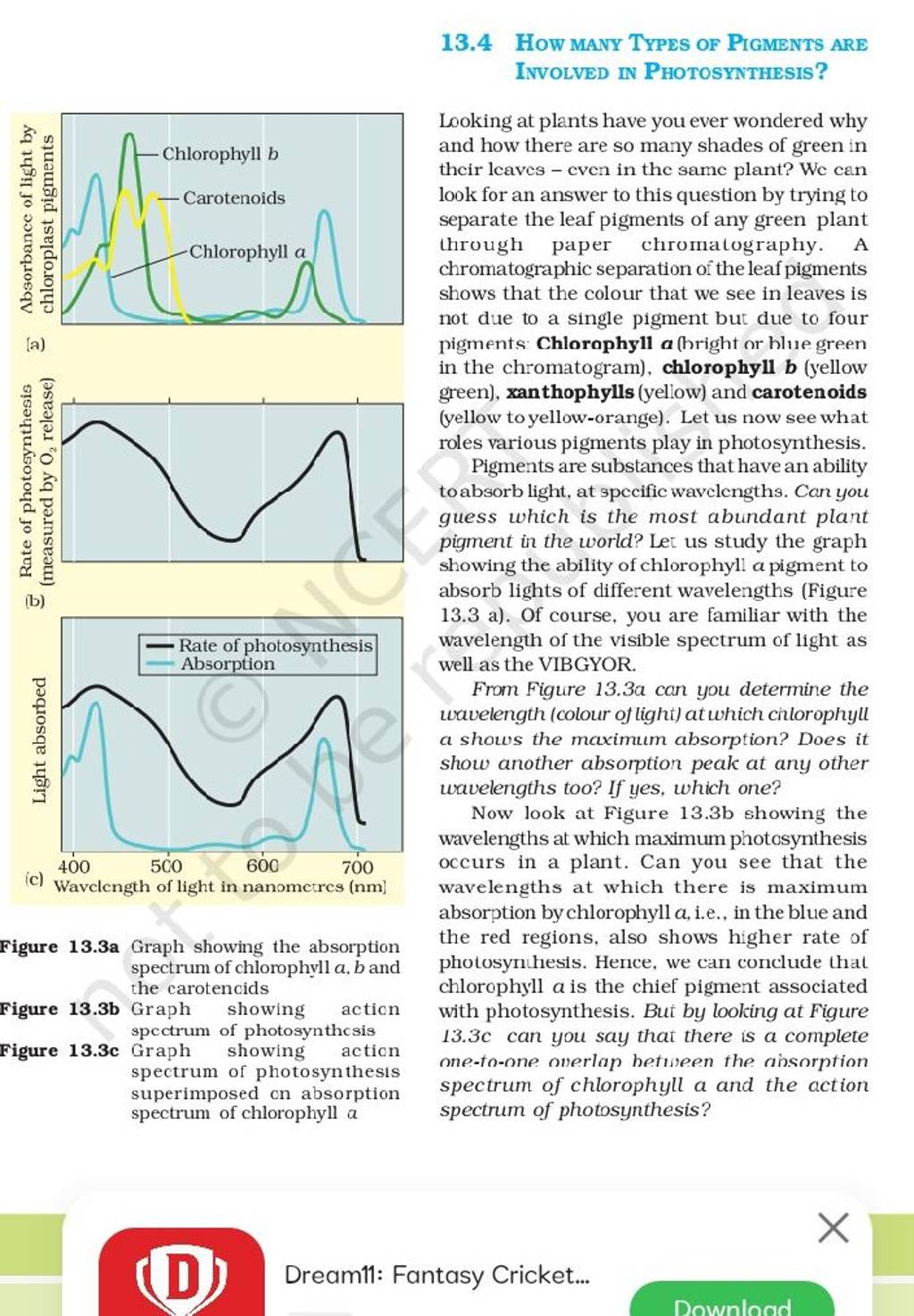 13.4 How many TYPEs of Pigments are Involved In Photosynthesis? Looking a..