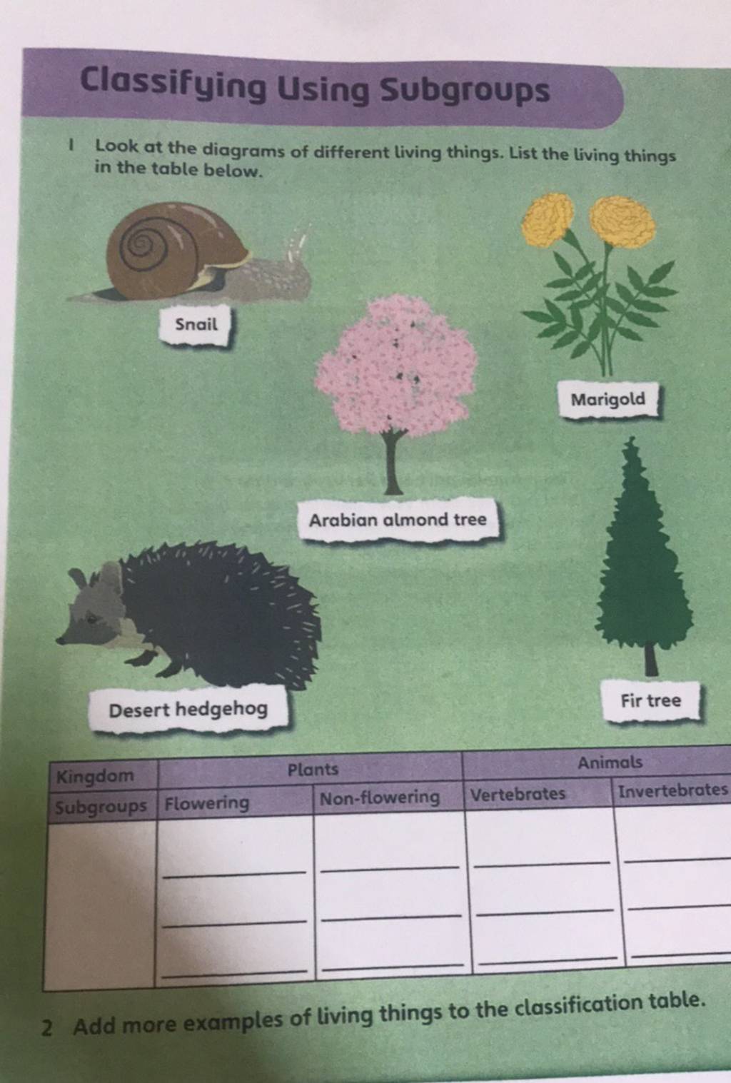 Classifying Using Subgroups 1 Look at the diagrams of different living th..