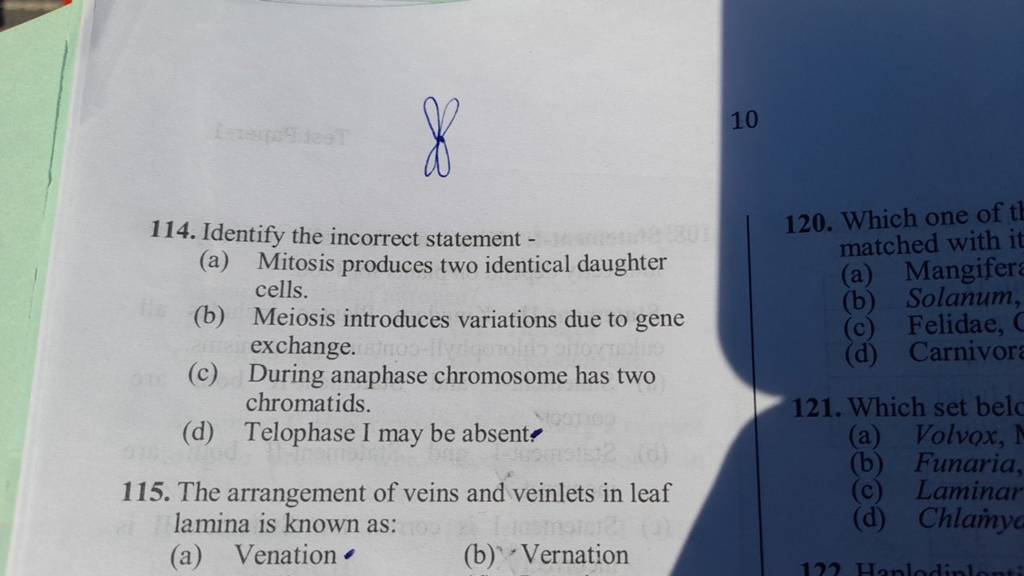 The arrangement of veins and veinlets in leaf | Filo