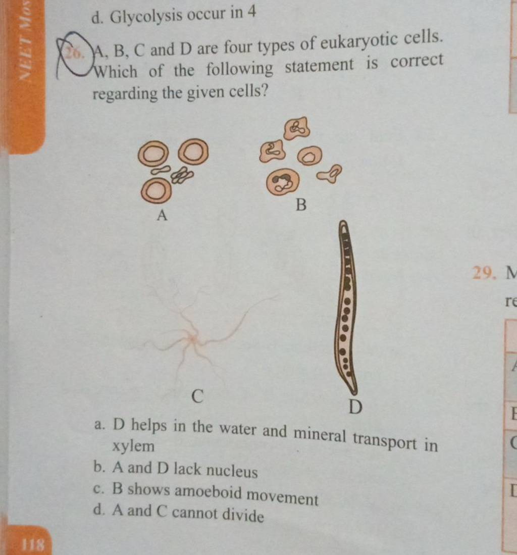 d. Glycolysis occur in 4 A. ,B,C and D are four types of eukaryotic cells..