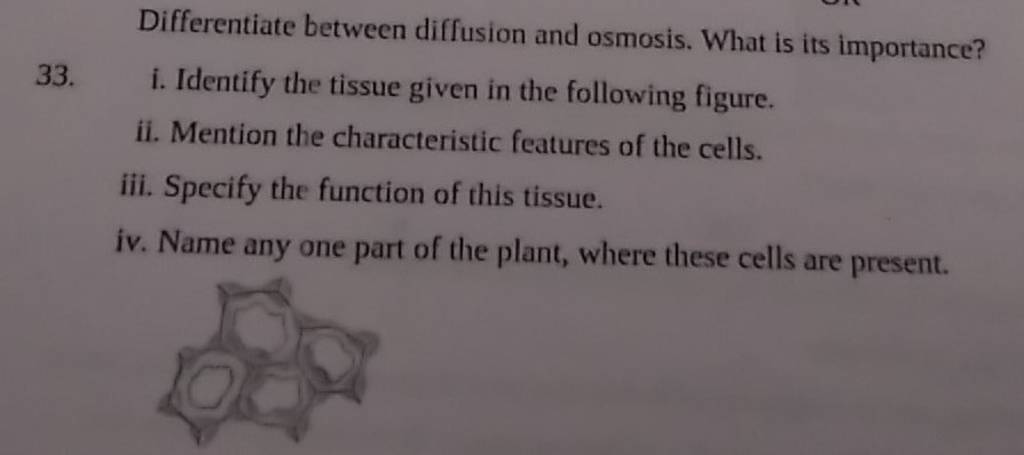 Differentiate between diffusion and osmosis. What is its importance?.. Differentiate between diffusion and osmosis. What is its importance?..