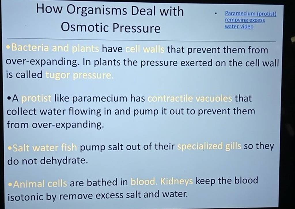 How Organisms Deal with Osmotic Pressure | Filo