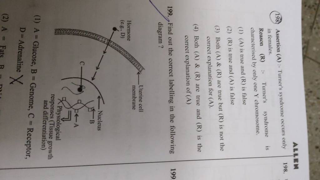 Find out the correct labelling in the following diagram ? | Filo