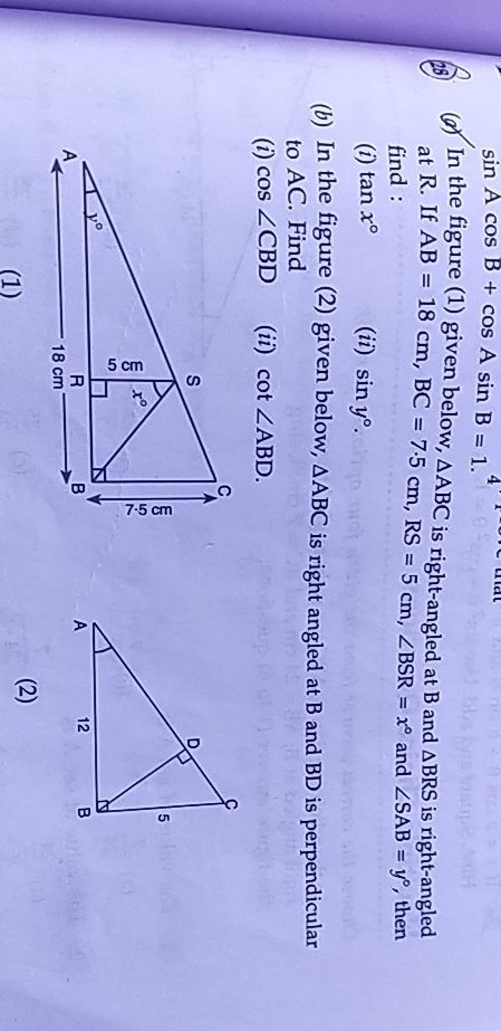 sinAcosB+cosAsinB=1. (a) In the figure (1) given below, ABC is right-ang..