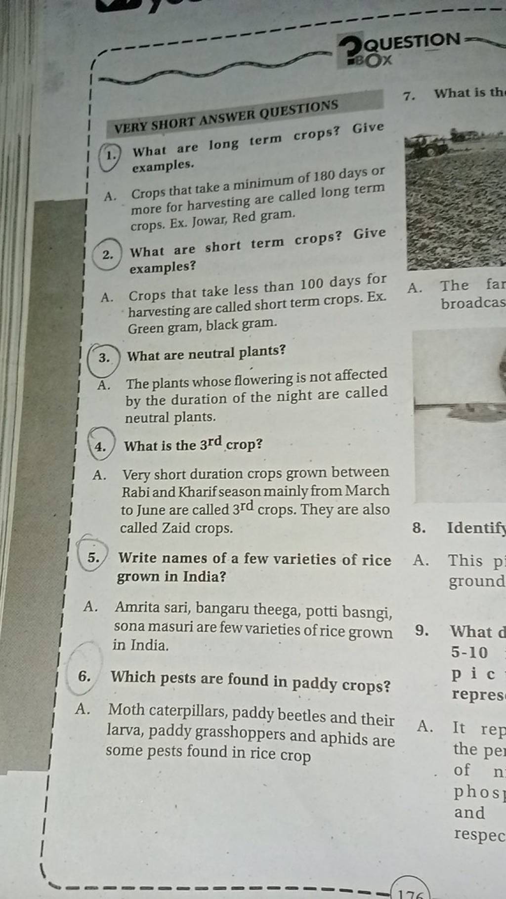 VERY SHORT ANSWER QUESTIONS QUESTION = 1. What are long term crops? Give