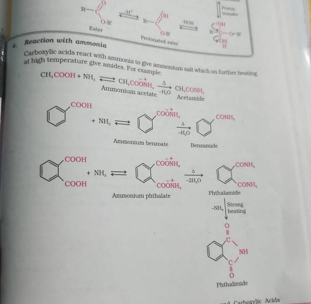 4 Reaction With Ammonia Carboxylic Acids React With Ammonia To Give Ammo