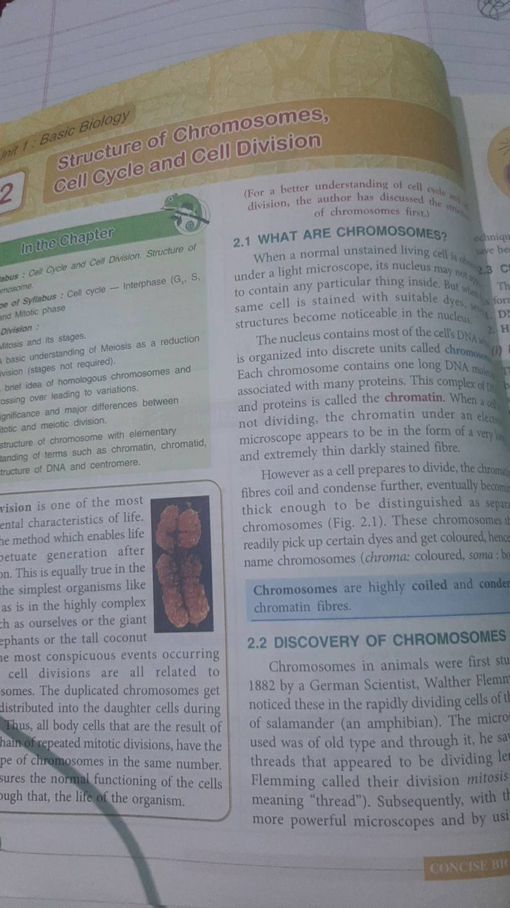 Basic Biology structure of Chromosomes, cell Cycle and Cell Division In t..