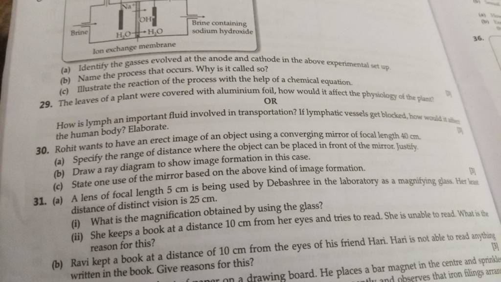 (a) Identify the gasses evolved at the anode and cathode in the above exp..