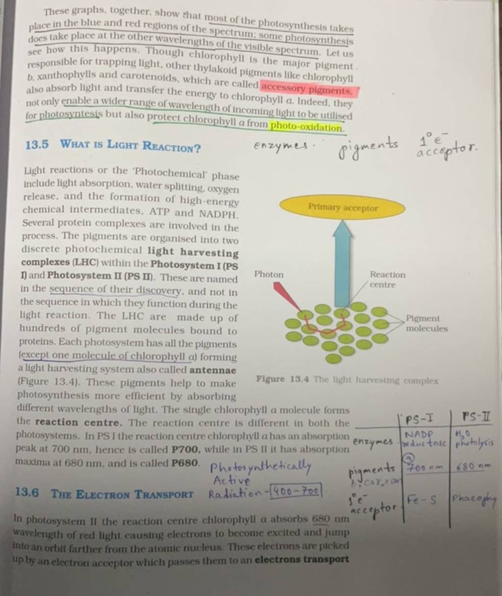 These graphs, together, show that most of the photosynthesis takes place