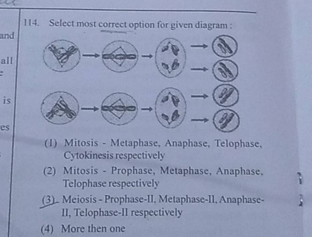 114 Select Most Correct Option For Given Diagram Filo