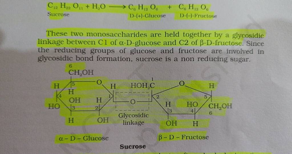 C12 H22 O11 +H2 O C6 H12 O6 +C6 H12 O6 Sucrose D-(+)-Glucose D-(-)-Fruct..
