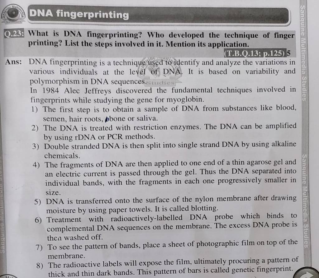 Q.23: What is DNA fingerprinting? Who developed the technique of finger p..